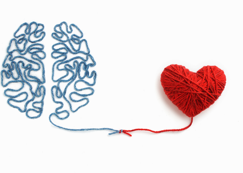 Strong Connections Between Heart and Brain Health Made Simple - Life ...