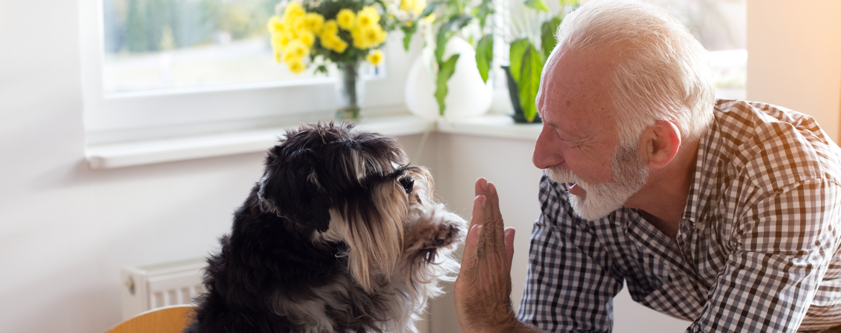 Aging Well With Pets | Blog | Life Enriching Communities