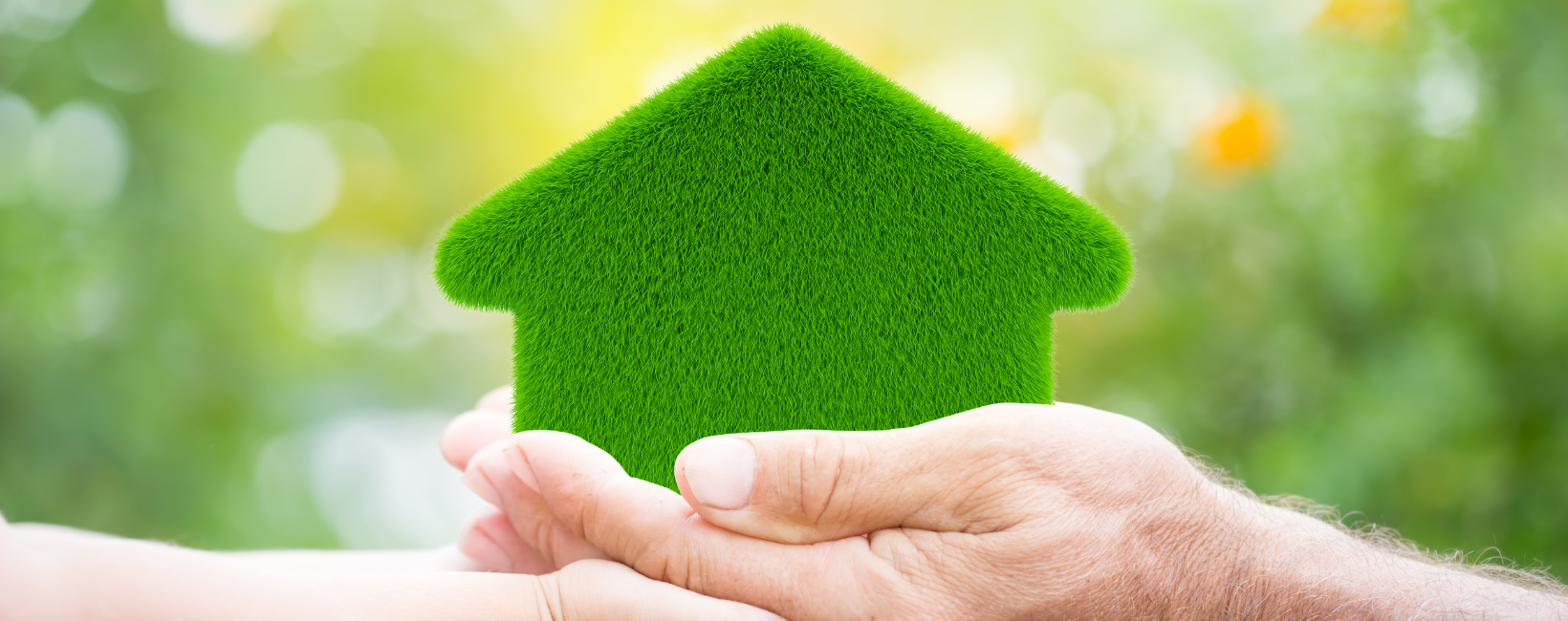 How to be Green and Eco-friendly | Blog | LEC