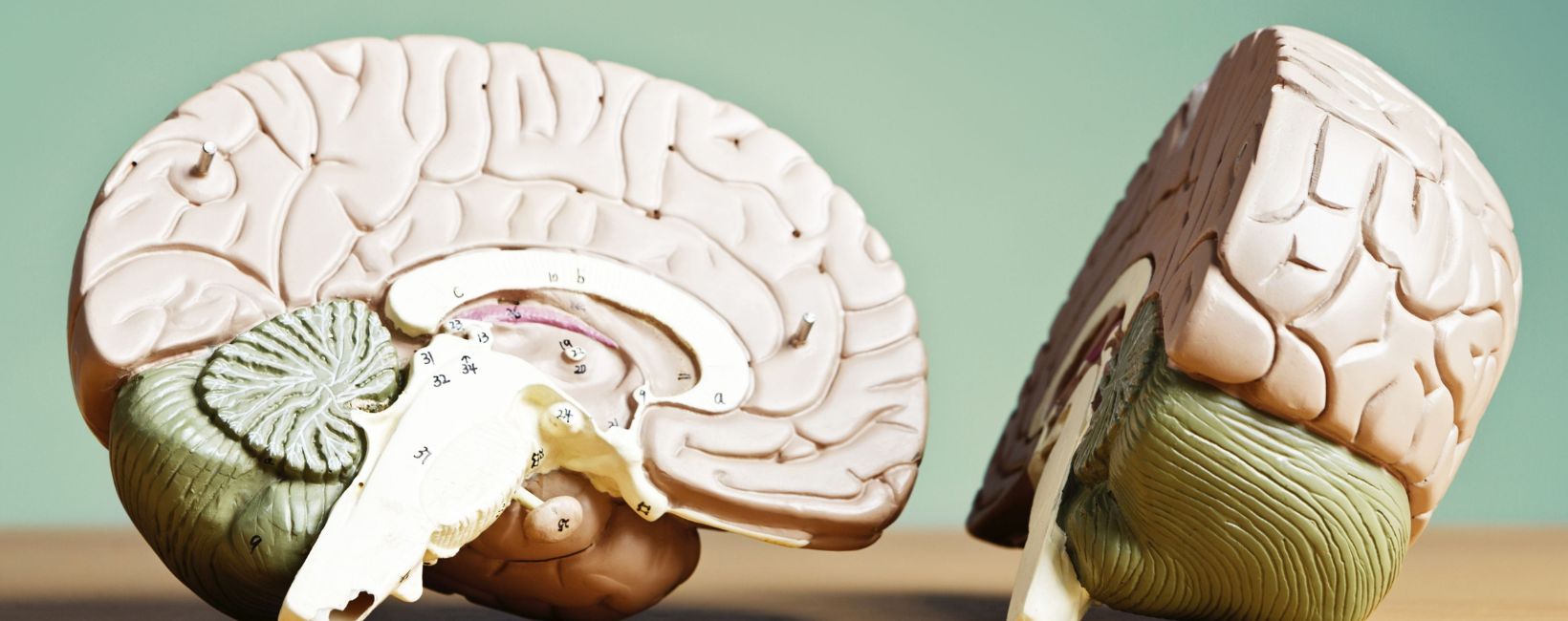 Brain Iron Accumulation and the Side Effects of NBIA - Life Enriching ...