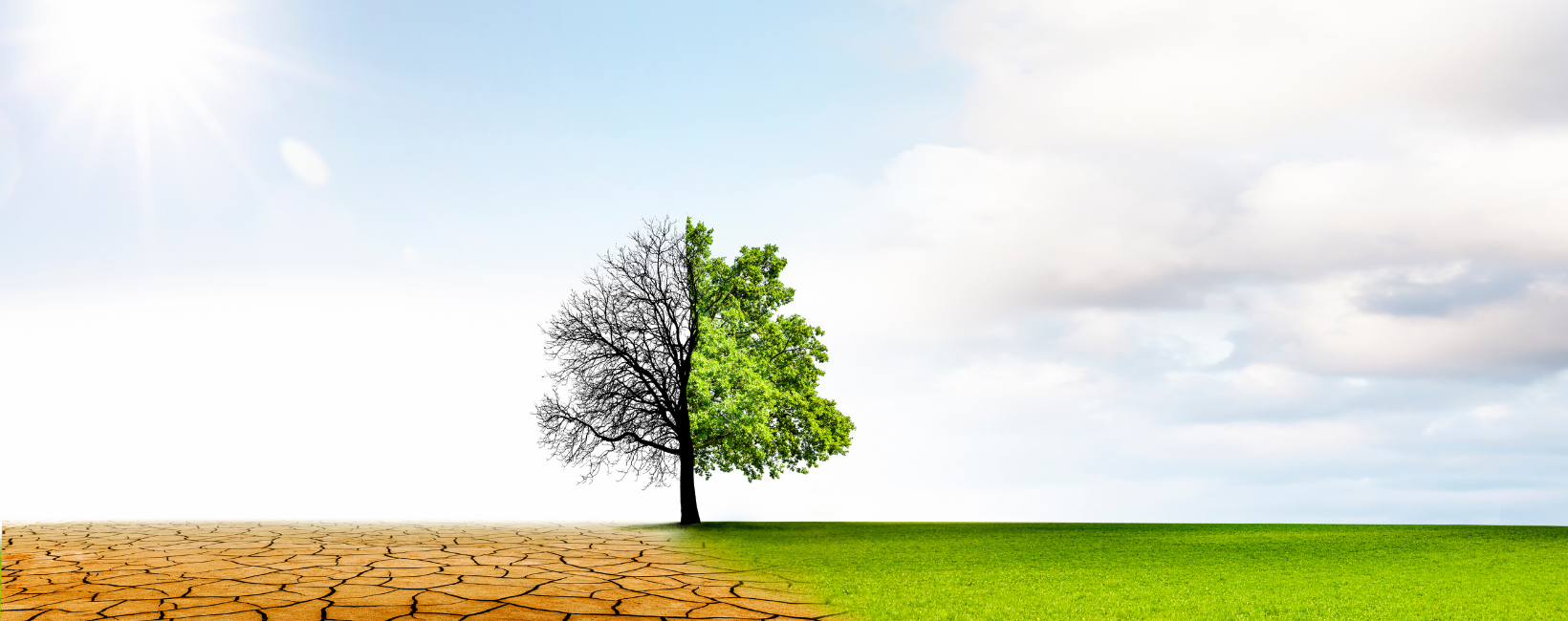 5 Effects of Climate Change On Older Adults - Life Enriching Communities